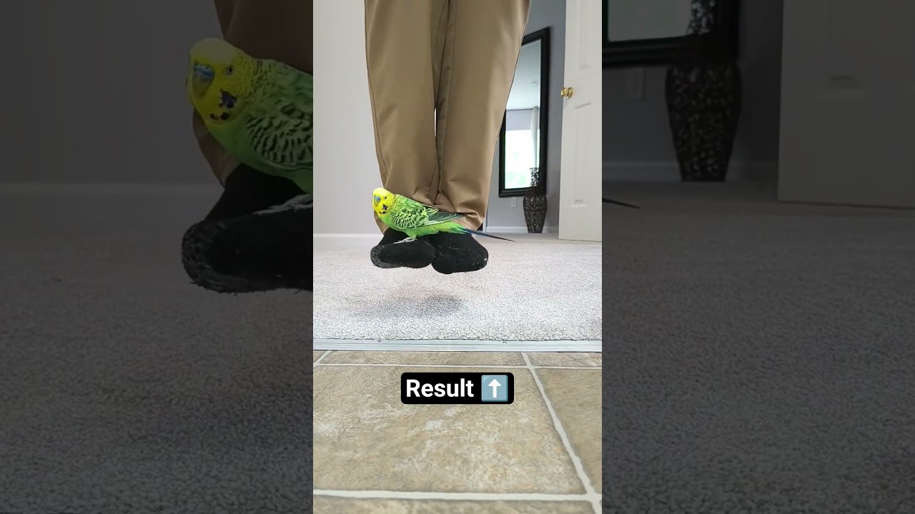 easy tutorial 😁#funny #shorts #tutorial