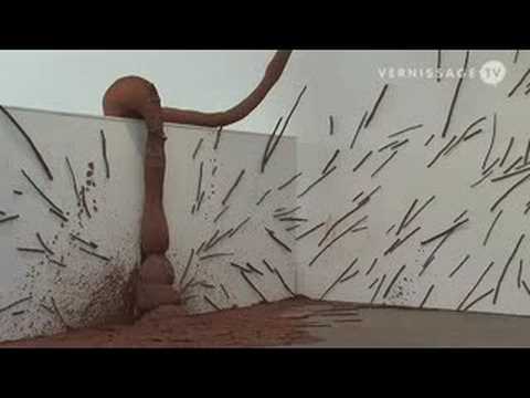 SITE Santa Fe Biennial 2008 part 1/2