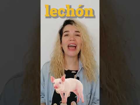 Learn animal baby names in Spanish! 🐶🐱🐷 Discover the sweet names for animal offspring. #learnspanish
