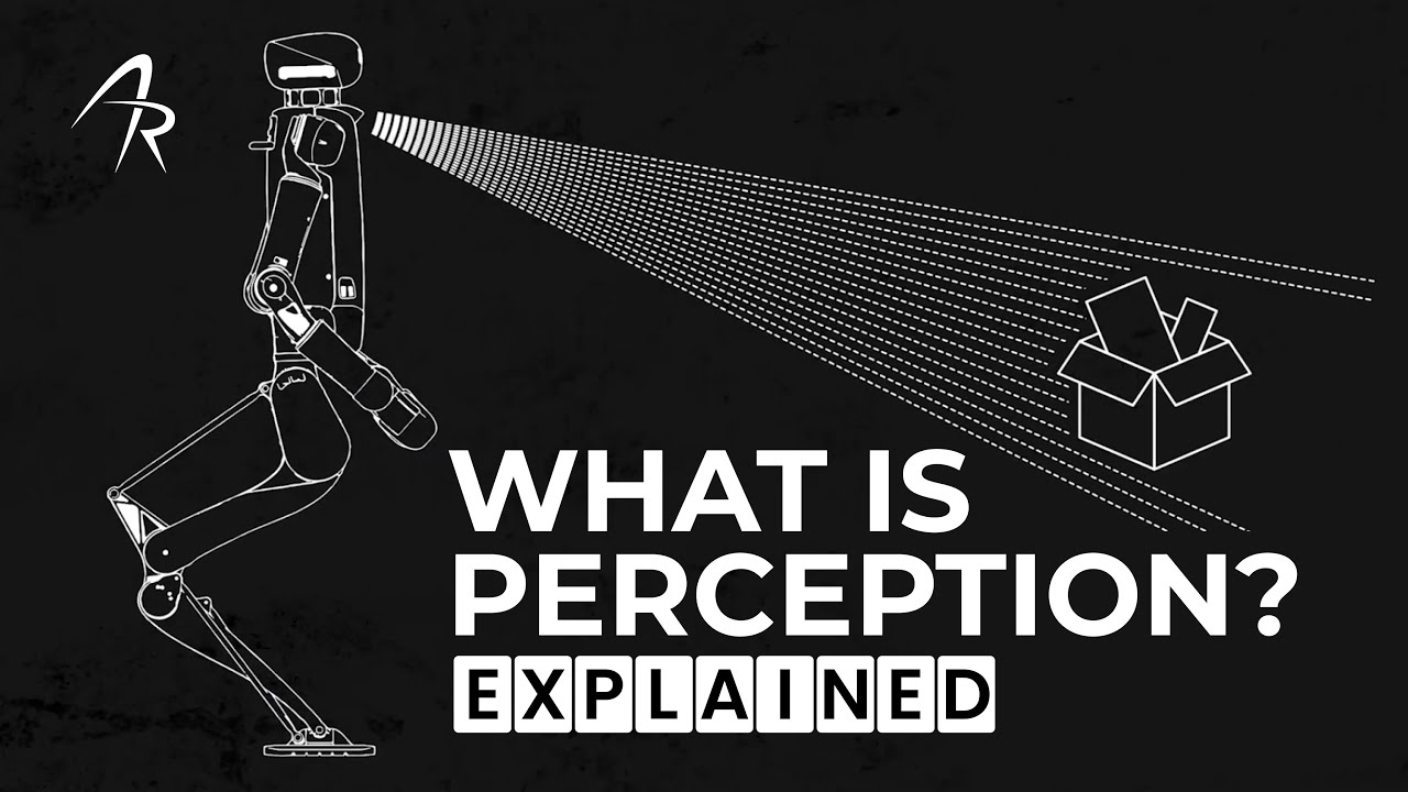 Explained: How Humanoid Robots Perceive the World