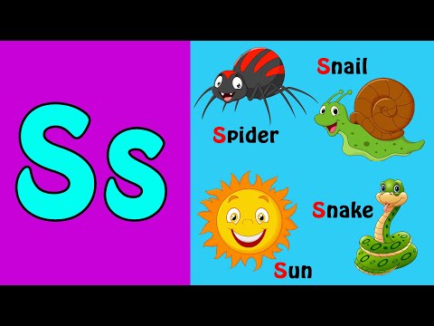 S letter words || Words That Start with Letter S || S for Sun, S for Sky, S for Spider, S for Snake