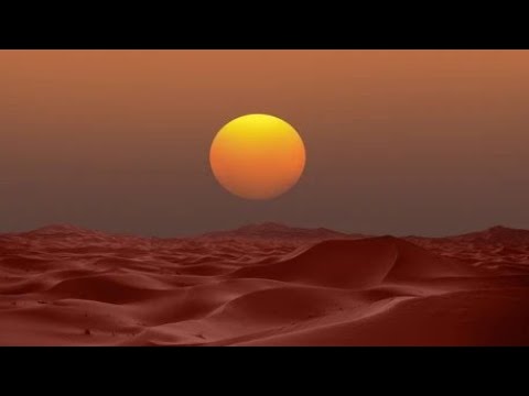 Sahrawi: Sands of Time - Navigating the Struggle and Identity of Western Sahara