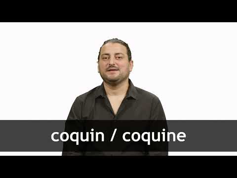 English Translation of “COQUIN” | Collins French-English Dictionary