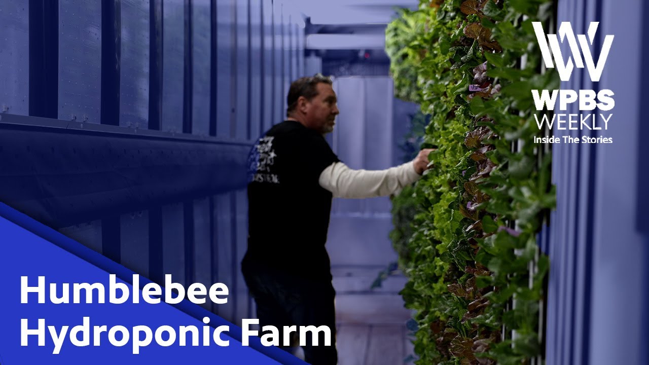 Humblebee Farms | WPBS Weekly: Inside the Stories