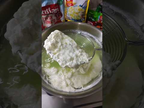 Homemade Mozzarella Cheese | How to make Cheese at home #shorts #mozzarella #cheese