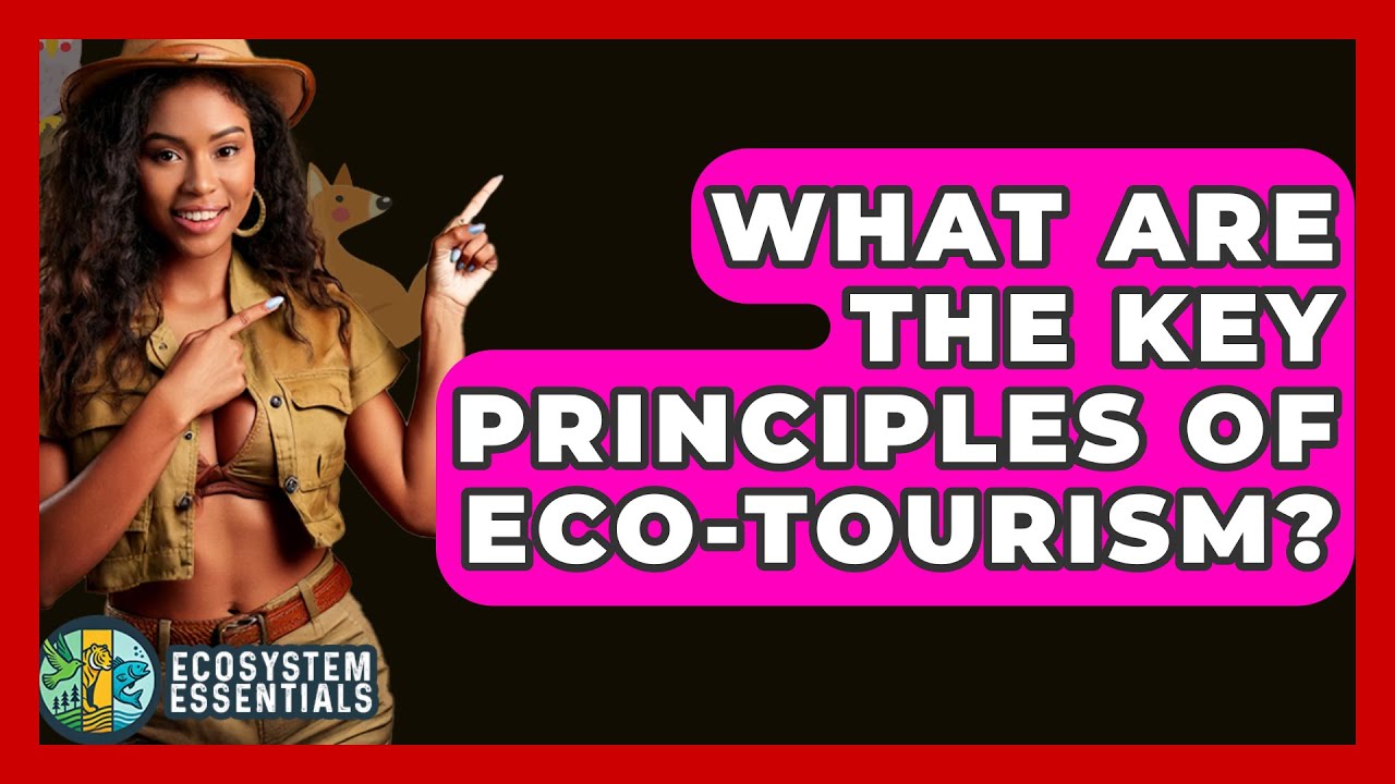 What Are the Key Principles of Eco-Tourism? - Ecosystem Essentials