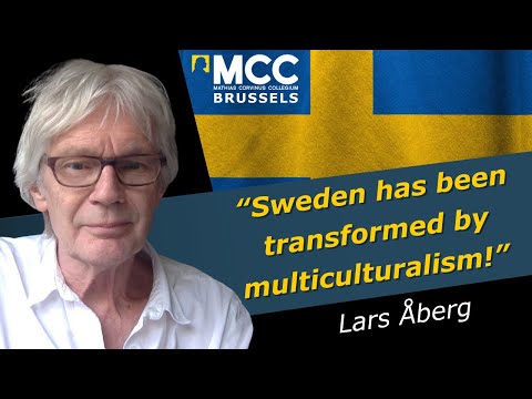 What happened to our country? Sweden has been transformed by ...