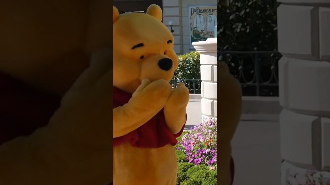 Pooh Bear was So Happy!