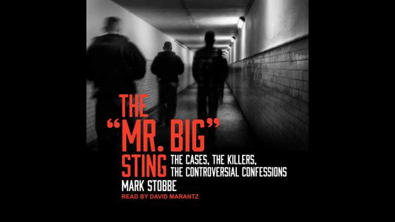 'Mr. Big' Sting: The Cases, the Killers, the Controversial Confessions - Mark Stobbe