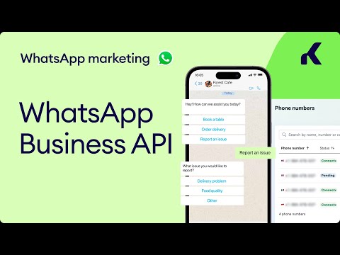 Unlocking the Power of WhatsApp Business API
