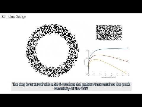 Towards Understanding Depth Perception in Foveated Rendering -- SIGGRAPH Conference Papers '25