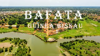 10 Things to Do in Bafata Nature Reserve, Guinea-Bissau | Gems.Travel