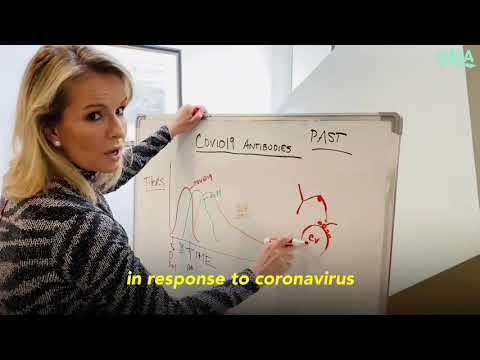 Here's everything you need to know about coronavirus antibodies l GMA Digital