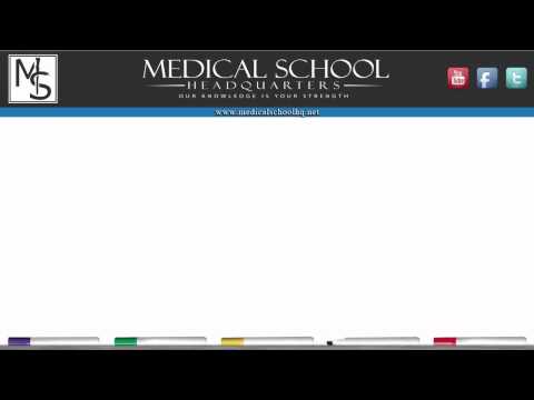 Prescription Writing 101 | MedicalSchoolHQ.net