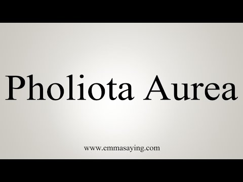 How To Say Pholiota Aurea