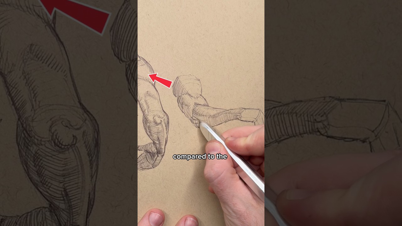 Lines don’t just shade. They describe.