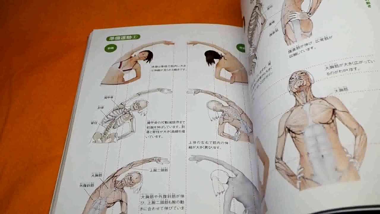 How to draw a Human Body Book Japan Japanese Sketch Skeleton Muscle Pose #1132