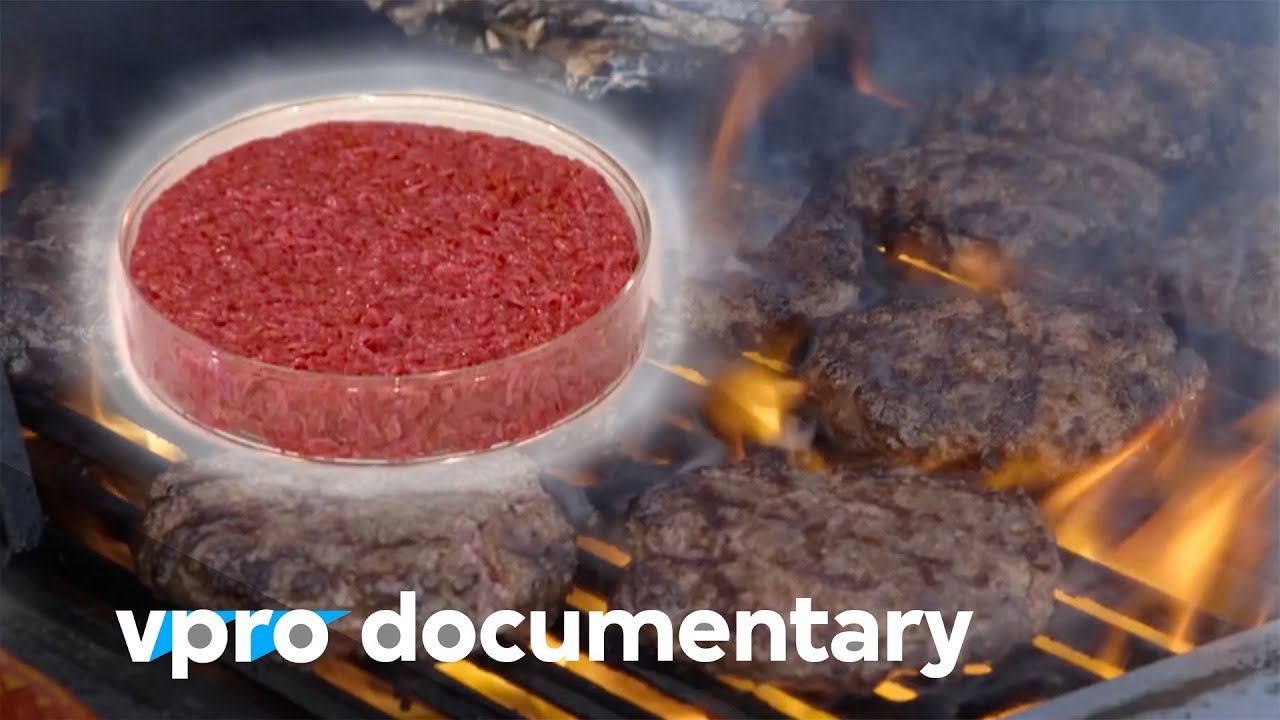 In-Vitro Meat - Documentarytube.com In-Vitro Meat - Documentarytube.com