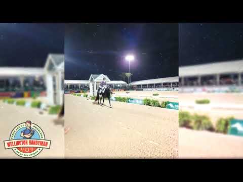 At the Adequan Global Dressage Festival in Wellington, FL.Amazing performaces.
