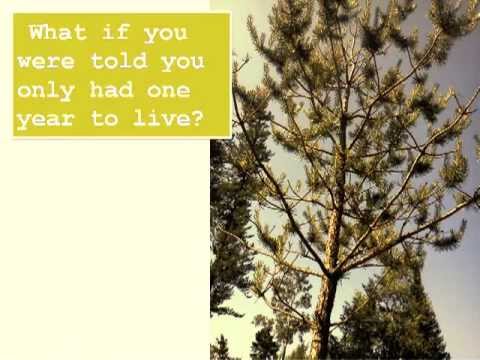 ‘One Year Left to Live’ Video Meditation – Tall Trees Grow Deep