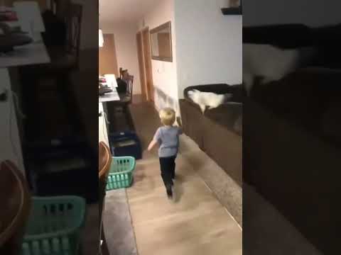 Follow for more Weee rolling on the floor laughing 1 gegenmobbing againstbullying gegengewalt