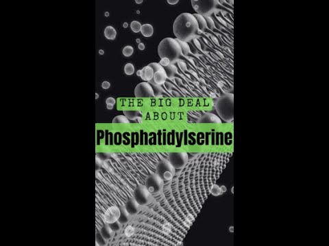 What is Phosphatidylserine