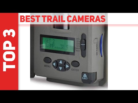 Top 3 Best Trail Cameras 2023 [The Best Trail Cameras]