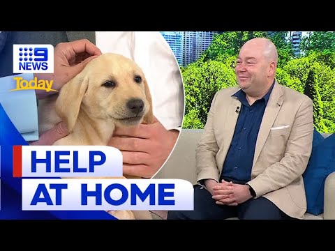 How new AI-technology and guide dogs assist visually impaired Aussies | 9 News Australia