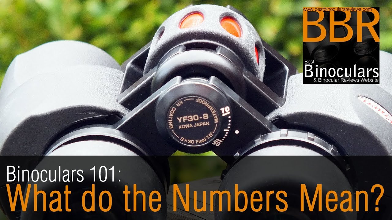 Binoculars 101: What do the numbers on binoculars mean?