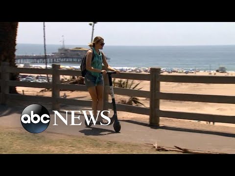 Popular mode of transportation causes much debate