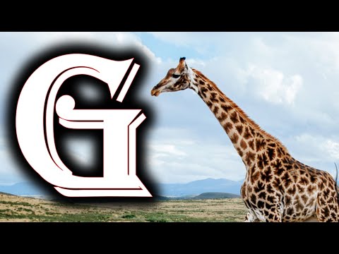 Testing Every Wordle Guess With The Letter G