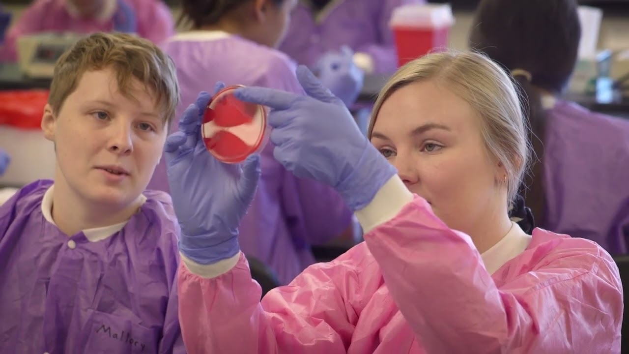 SLU Medical Sciences   Learn More