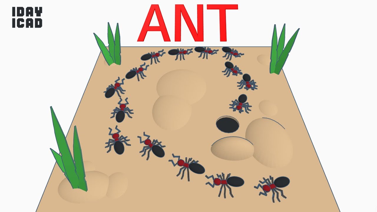 [1DAY_1CAD] ANT (Tinkercad : Know-how / Style / Education)