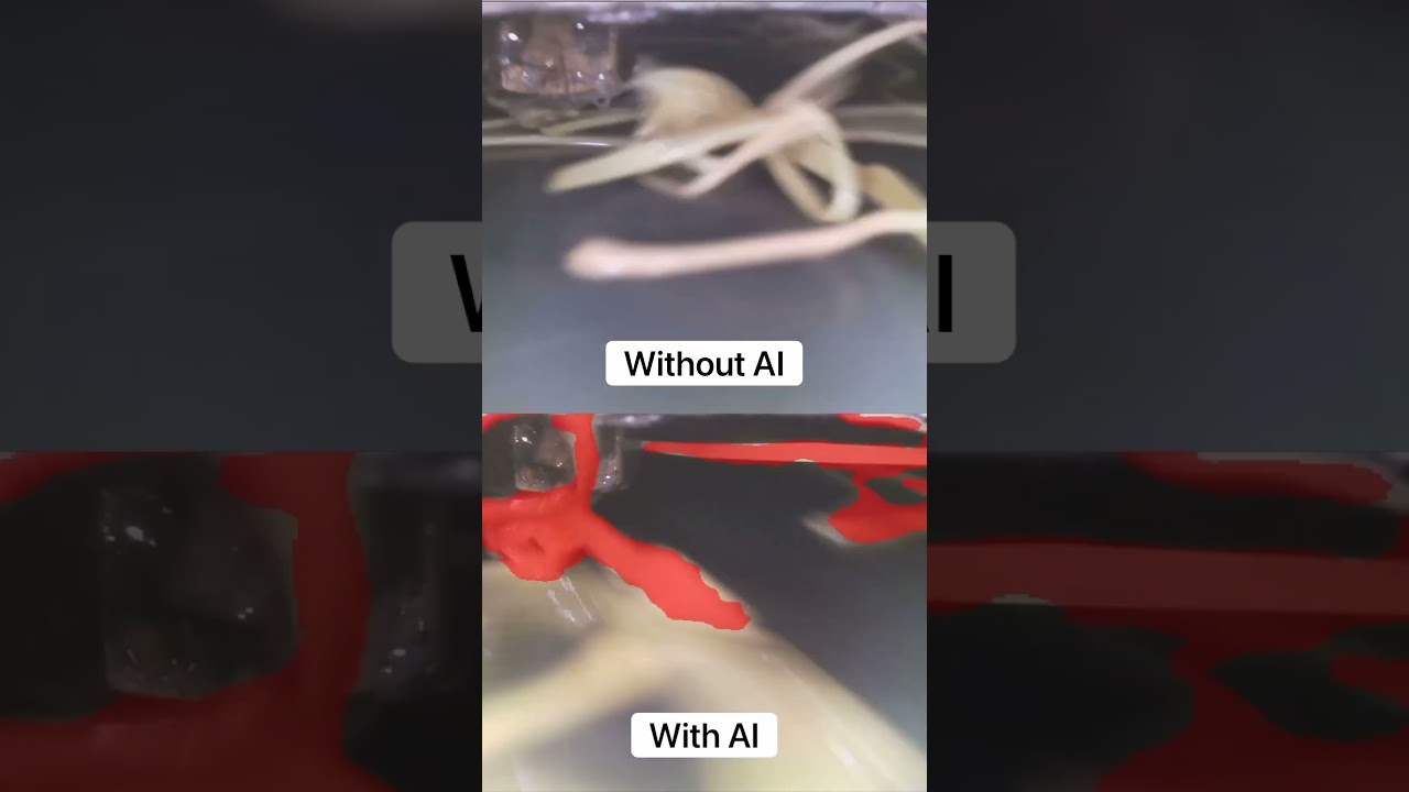 The ultimate Dynamic Duo is here: BIGTREETECH Pi 2 + Obico advanced AI! #bigtreetech #obico #ai #3d