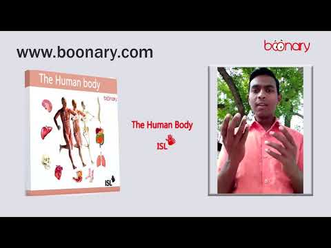 Buyer's feedback for Boonary's The Human body videos. (ISL)