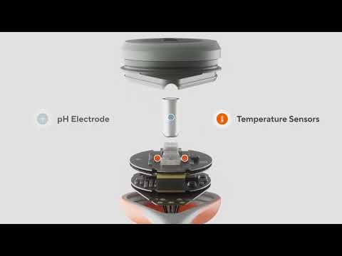 Meet the V-Sign™ Sensor for the Sentec Transcutaneous Monitoring System
