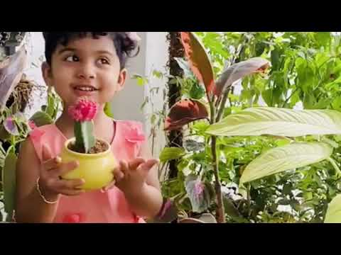 Flower pot rhyme