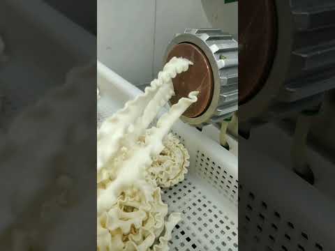 Mafaldine Pasta