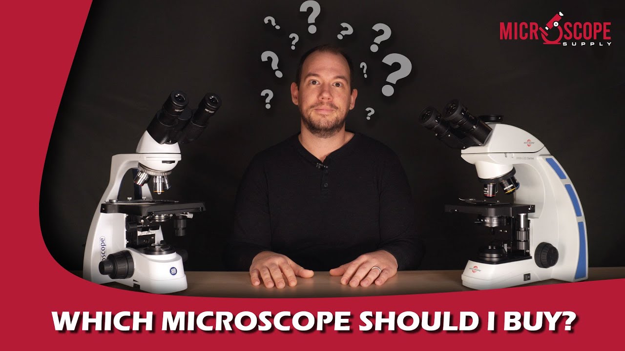 What Microscope Should You Buy? 🔬 5 Things To Consider