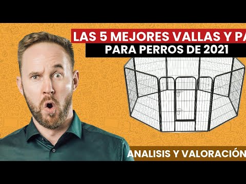 Las 5 MEJORES VALLAS / BARRERAS para perros ?