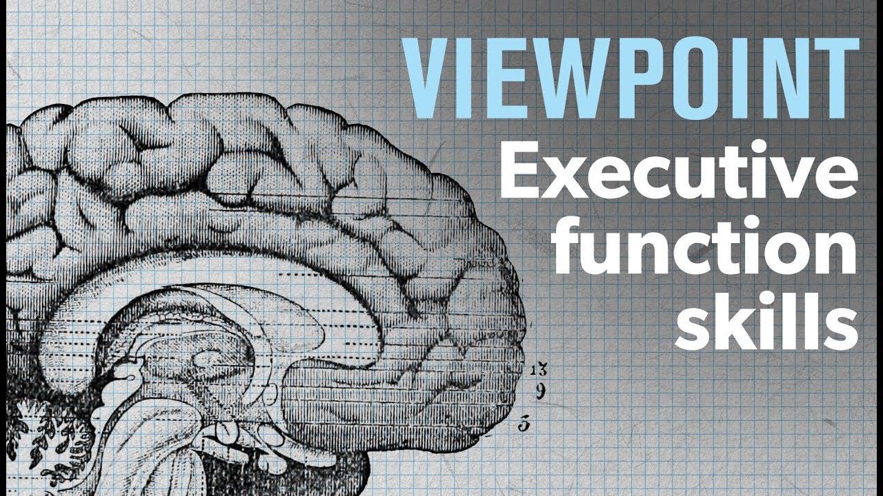 Executive function skills — interview with Stephanie M. Carlson, PhD | VIEWPOINT