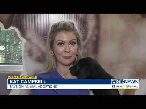Save on animal adoptions at Wake County SPCA
