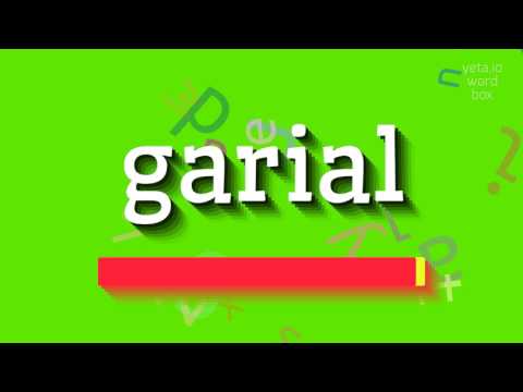 GARIAL - HOW TO SAY GARIAL? #garial