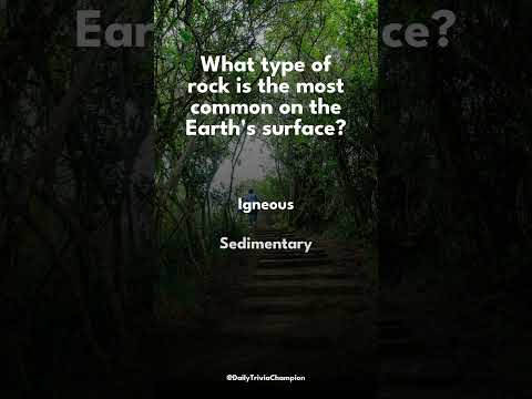 What type of rock is the most common on the Earth's surface?