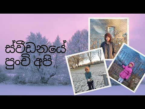 Brief Introduction to Sweden Life