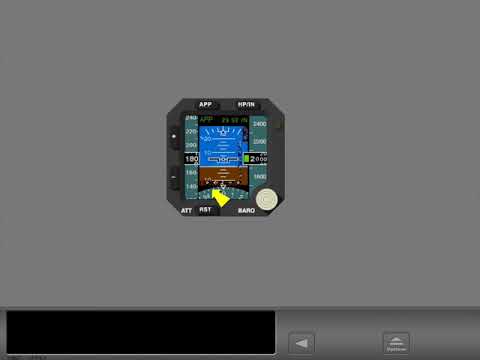 2 Integrated Standby Flight Display