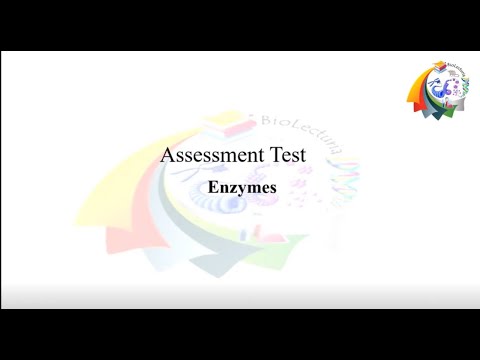 Quiz 23 Enzymes