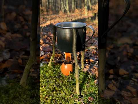 Survival Skills Lifehacks: Cooking Wild Eggs. #survival #camping #lifehacks #skills