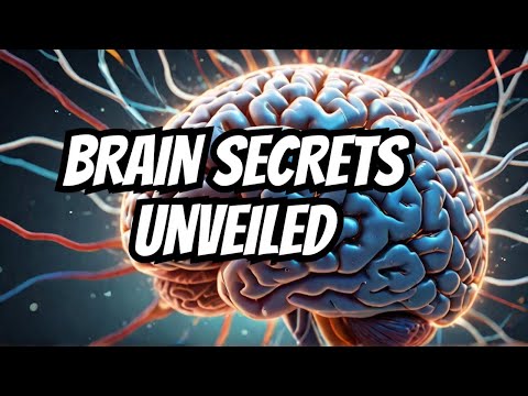 📌 Label the Brain | A Comprehensive Guide to Brain Anatomy