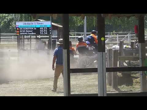 90 BEEKHUISZEN, Hendrik Jan,, CAI3# P4, Greven GER, Marathon 08 07 2023, Obs 5